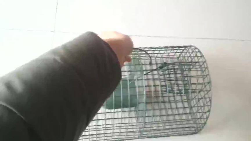 捕鼠器可连续捕捉多只半圆大容量老鼠笼