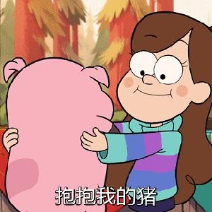 觉醒字幕猪 