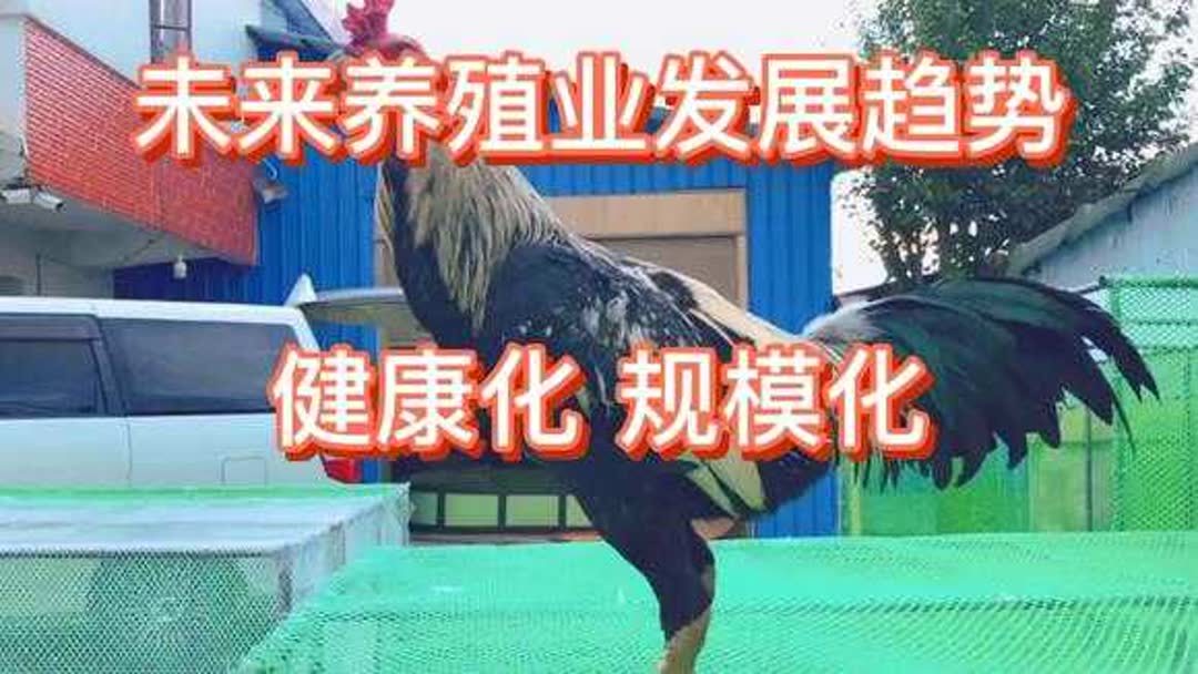 未来养殖业,发展趋势,健康化。规模化