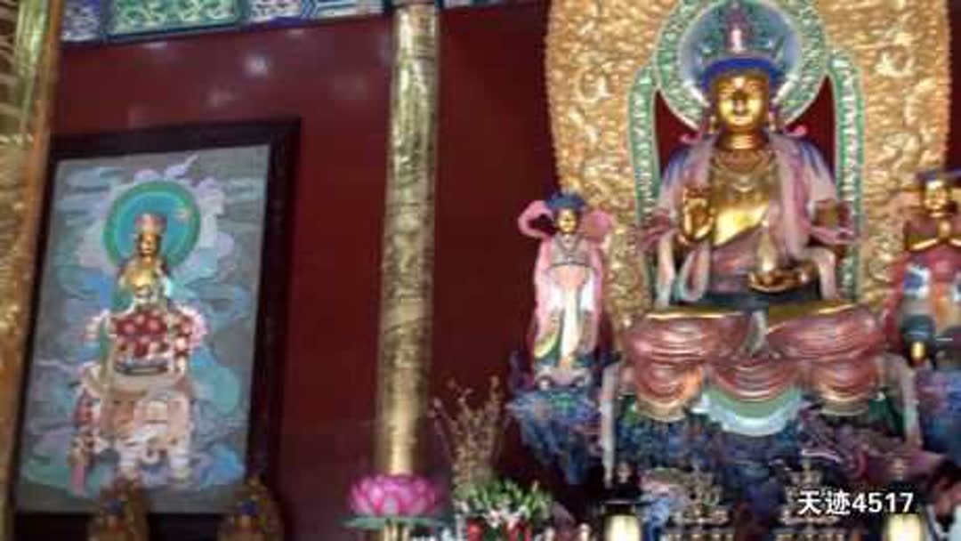 普陀山佛顶山景区:最高的寺庙慧济寺 皇家寺庙宝陀讲寺