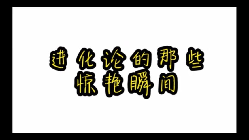 来看看本次TF家族三代进化论的惊艳瞬间,妈粉瞬间变质!