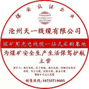 沧州天一线缆有限公司 