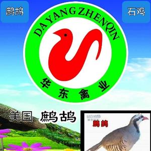 华东禽业鹧鸪养殖丁哥 