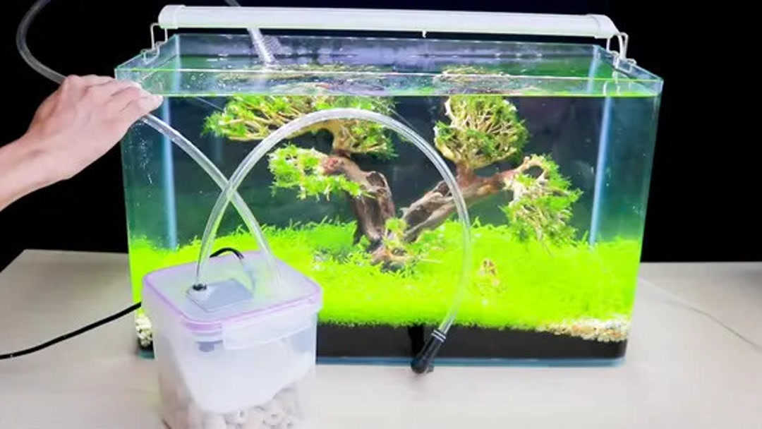 低成本打造外置过滤桶,简单易学,让你的鱼缸水清鱼靓状态好