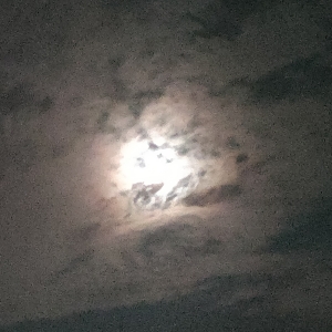 哔哩bili_余起华 