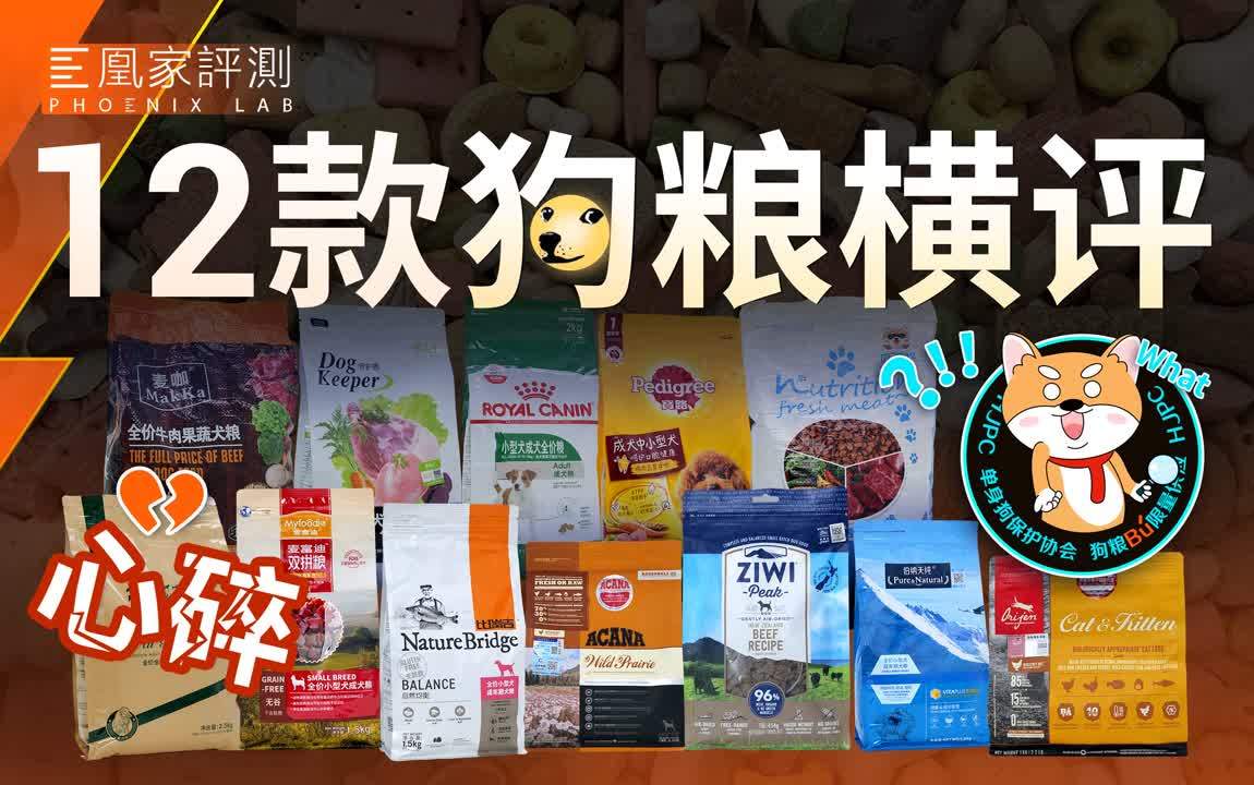 自费5万块检测12款狗粮 安全和营养的结果出乎意料 | 凰家实验室
