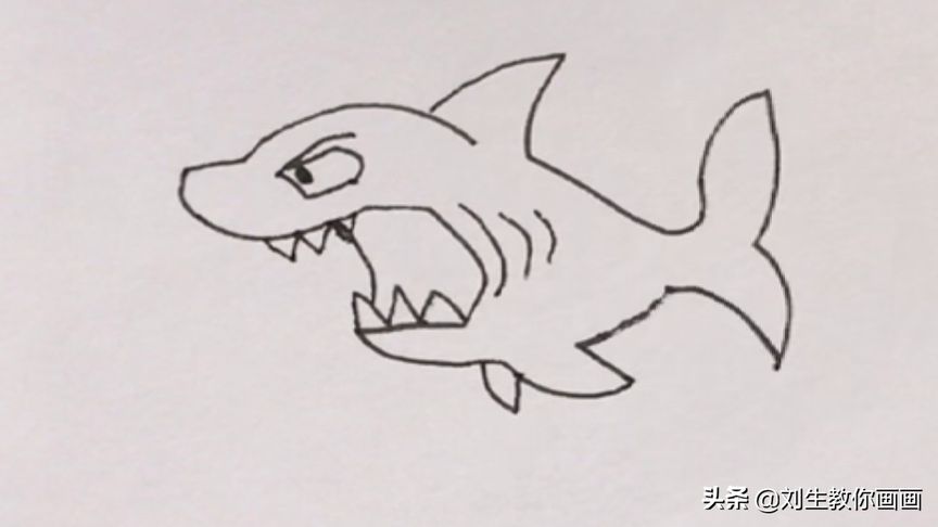 儿童美术简笔画,海洋世界霸主鲨鱼