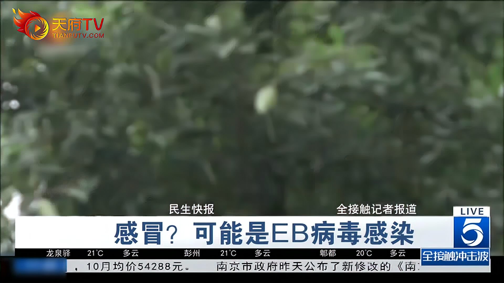感冒?可能是EB病毒感染