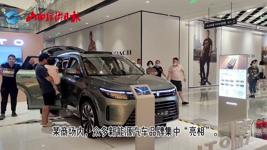 新能源汽车这么火,你会选购一台吗?