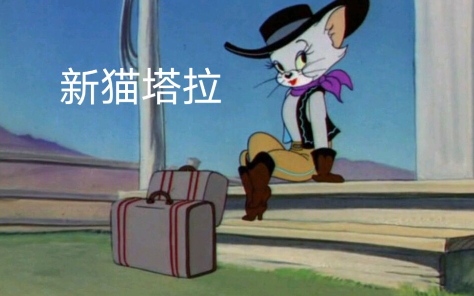 猫和老鼠:新猫塔拉实战