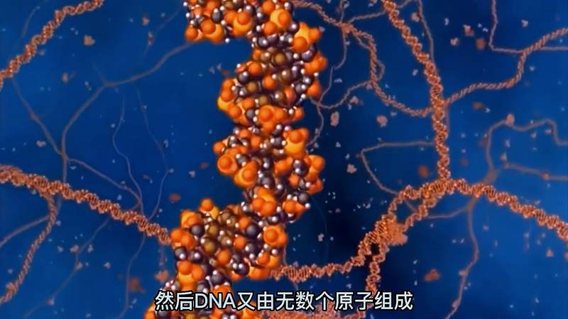 奇妙的微观世界,理性的宏观世界