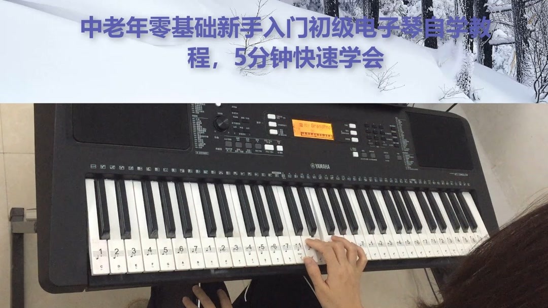 零基础电子琴入门自学教程,电子琴左手如何伴奏方法“单指和弦”