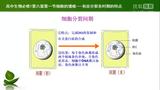 高中生物 植物细胞有丝分裂的特征与有性生殖的区别_clip