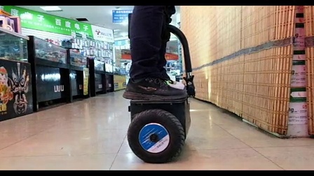 SEGWAY 赛格威 两轮平衡车 思维车 自平衡车 电动平衡车 电动车