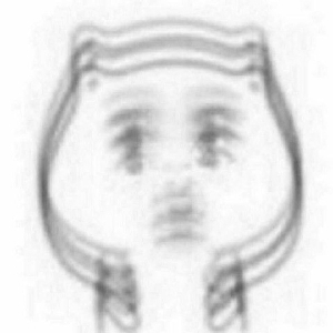 爱木黎拔力八达 