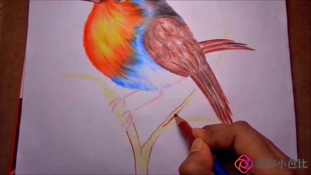 【迷你小芭比】如何使用彩色铅笔画鸟!彩铅画教程!超简单!
