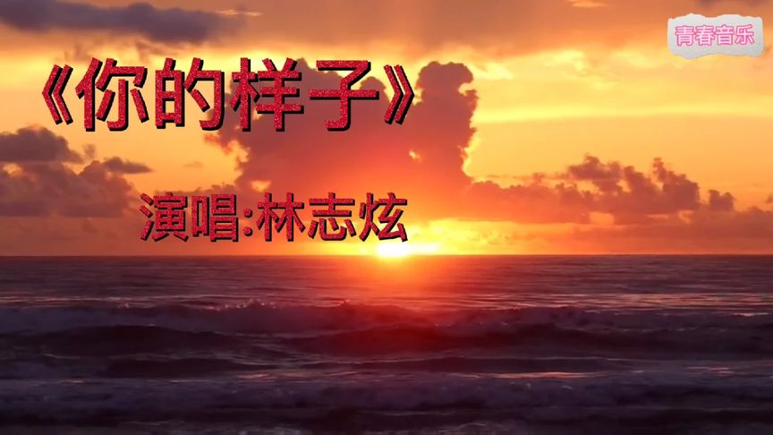 初听之时不懂曲中意,再听时已是曲中人!《你的样子》-林志炫