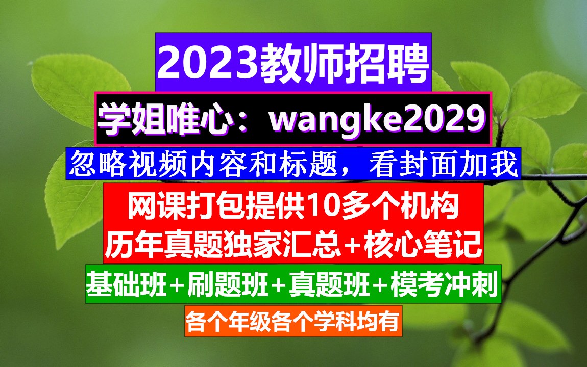2023教师招聘教育基础知识,教师招聘现实表现范文,教师招聘辅导班