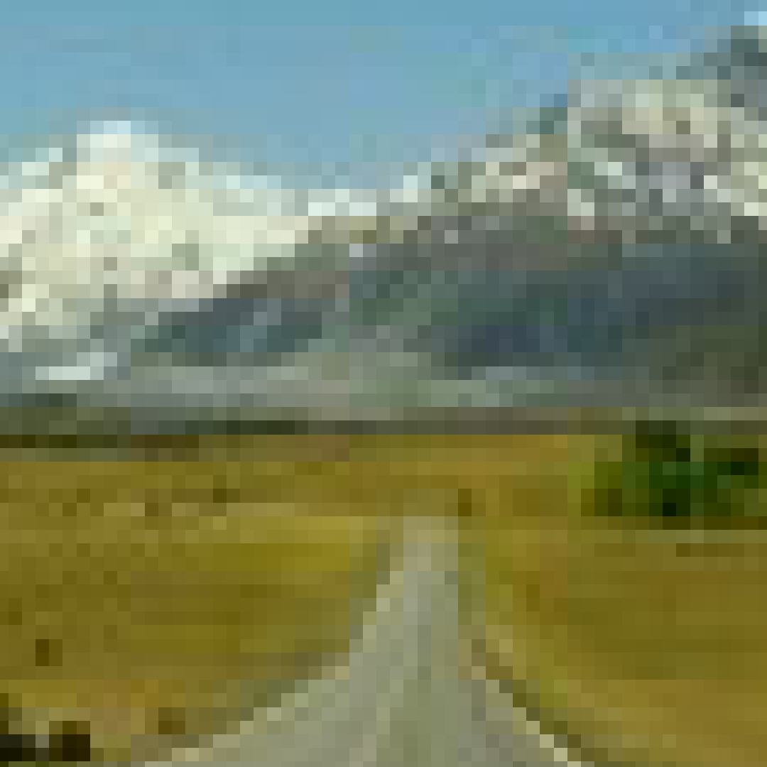 可壮1478754129535422 