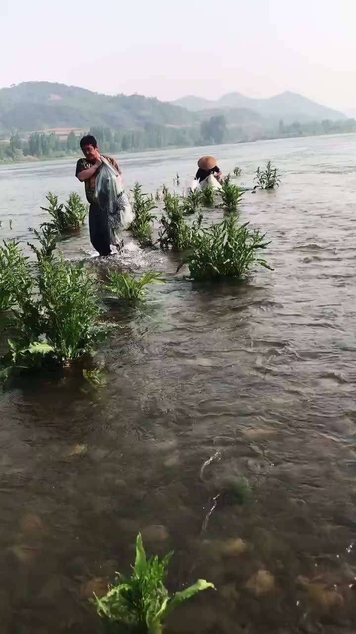 感谢朋友们的支持#户外撒网捕鱼 #怎么撒鱼网视频教程