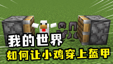 我的世界:如何让小鸡穿上盔甲?用活塞推动,变成西装鸡