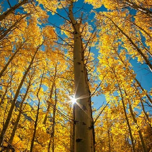 小不点_--__---_-- 