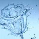 小李子是李老师 