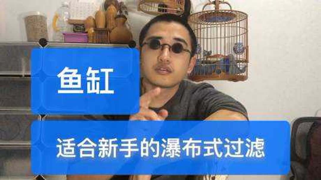 鱼缸适合新手的初级入门壁挂式过滤,也形象的叫做瀑布式背挂过滤