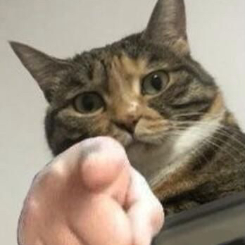 不会扫弦的鸦北 