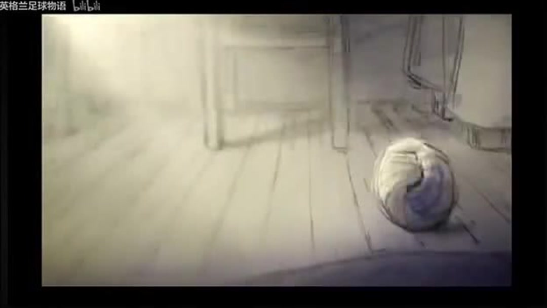 【双语】《亲爱的篮球》 第90届奥斯卡最佳动画短片提名作品