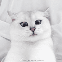 小林的缤纷世界 