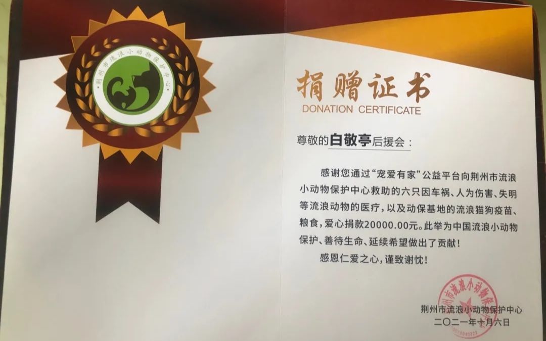 追星正能量!感谢白敬亭后援会对荆州流浪小动物们的爱心!