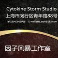 上海因子风暴工作室 