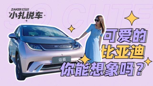 试驾海豚:这就是比亚迪的纯电新物种?