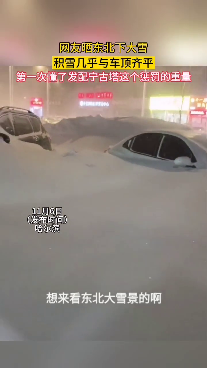 网友晒东北下大雪,积雪几乎与车顶齐平
