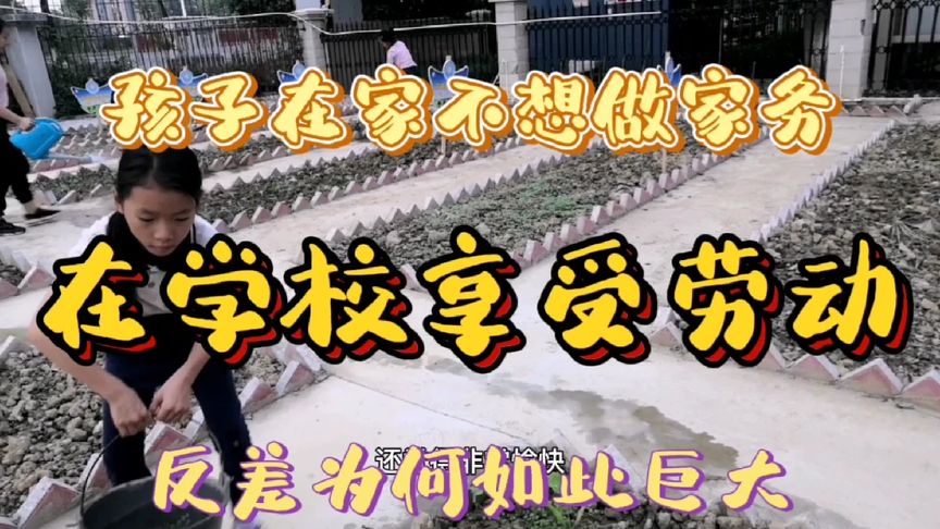 孩子在家不愿意做家务,在学校却享受劳动,反差为何如此巨大?