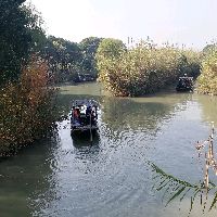 凭栏且听风雨声 