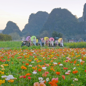 清远英西峰林旅游 