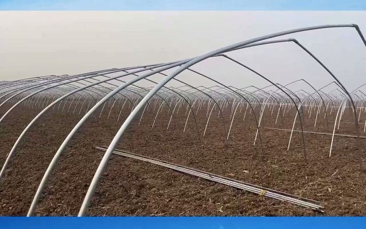 ...搭建,#天津大棚管厂家 #甘肃大棚管供应 #新疆养殖棚搭建#草莓棚钢架