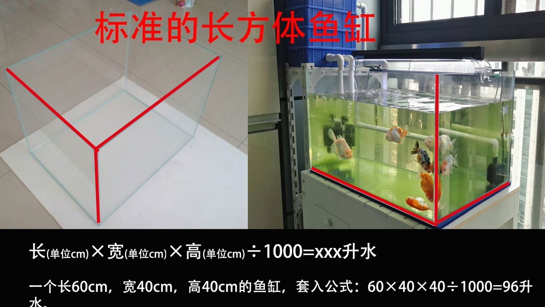 怎样计算鱼缸水量,一个视频告诉你