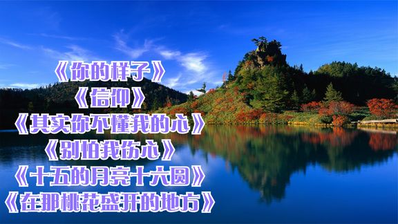 歌曲:《你的样子》《信仰》《其实你不懂我的心》《别怕我伤心》