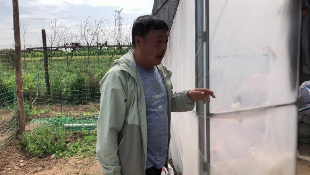 分享果园散养鸡舍结构大概需投资多少,这种模式有啥好处,了解下
