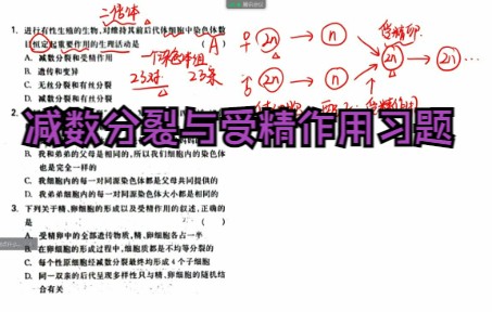 13班 减数分裂与受精作用习题