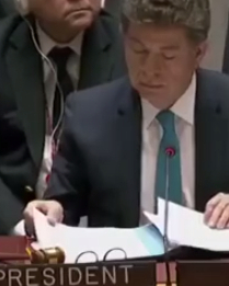 #美国宣布对叙利亚动武#当地时间4月14日,联合国安理会召开紧急会议...