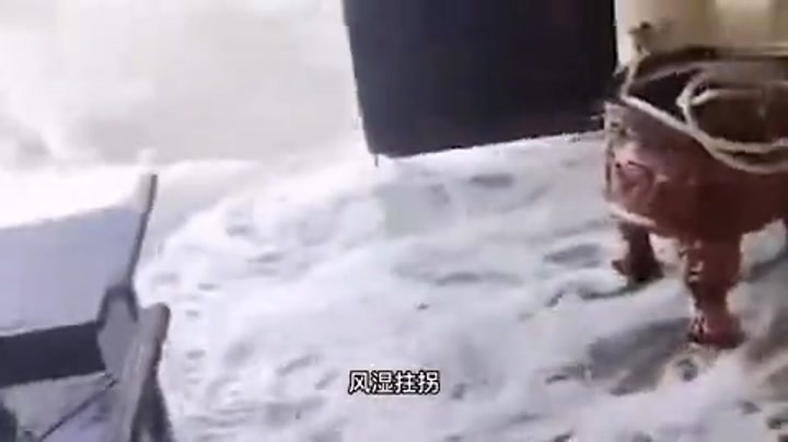 老婆做的挠痒痒神器,有没有想试试的