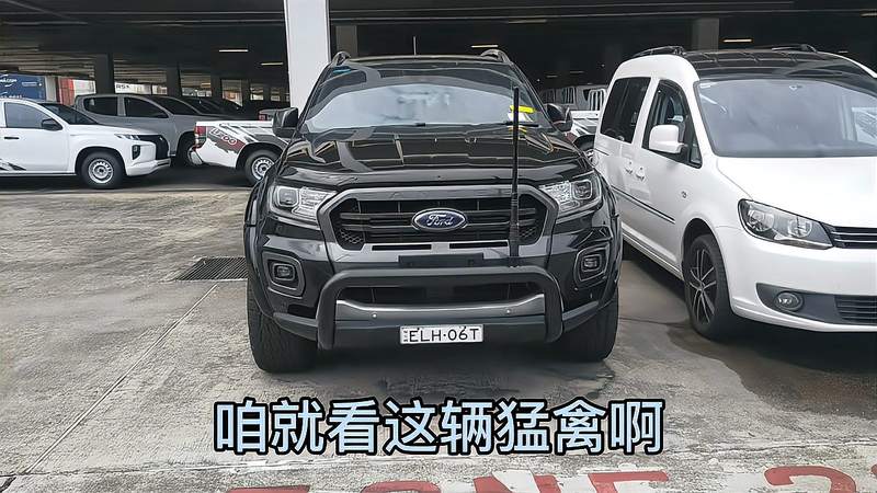 新到二手车 让爷们爱不释手的皮卡 非猛禽不可 真男人值得拥有