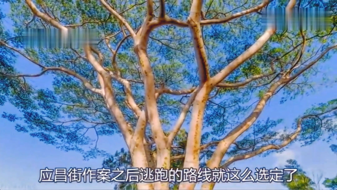 【大案纪实】沈阳三八大案侦破纪实_七