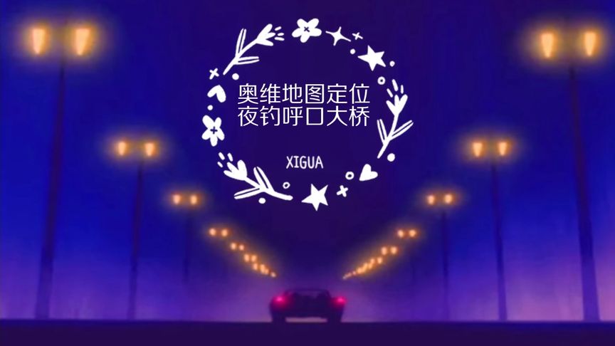 奥维地图定位夜钓呼口大桥,失败(用饵错误)。