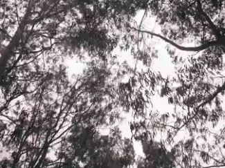 每个人都有奔跑的理由励志视频