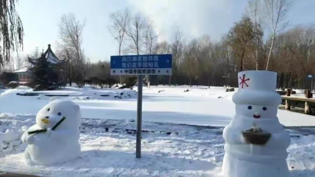 哈尔滨突降大雪,市民出行不便,园林局的做法令人值得点赞!敬佩